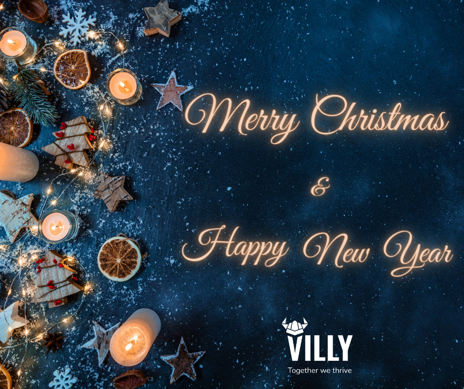 Villy – Leadership and Support Program